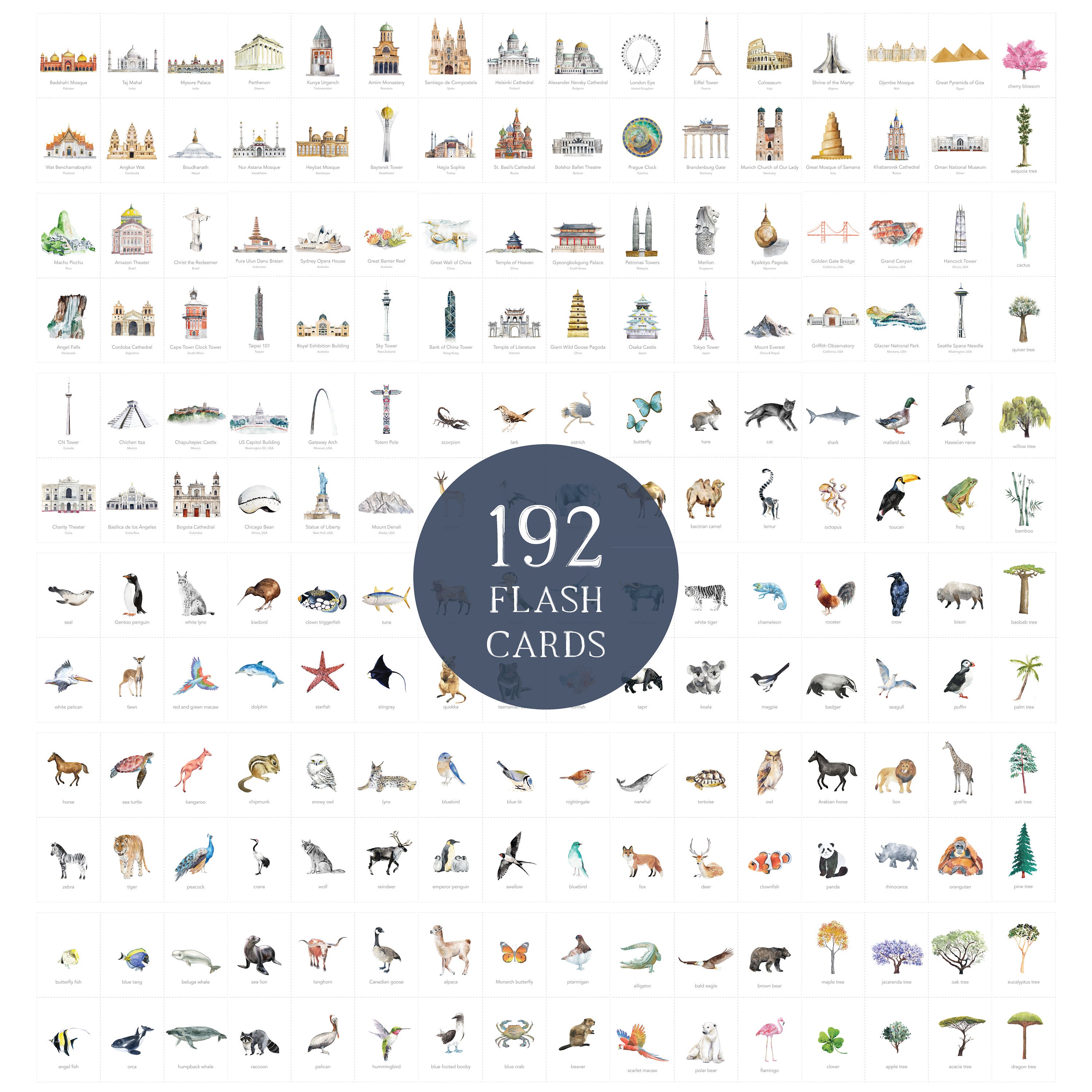 Educational World Map Activity Flash Cards Printable - Etsy