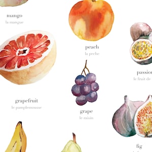 Fruits and Vegetables Art Print Set | Wall Art, Wall Decor ...
