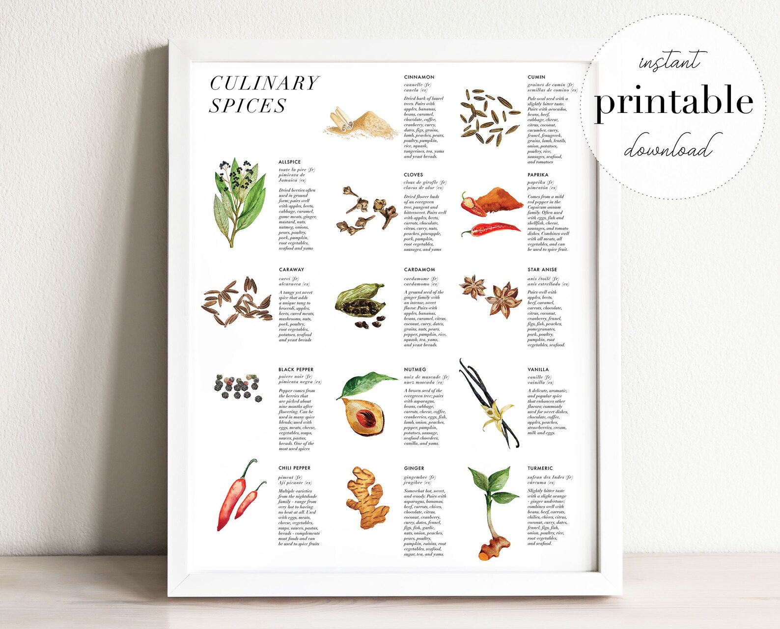 Watercolor Culinary Spices Print: Kitchen Herb Art (digital Download ...