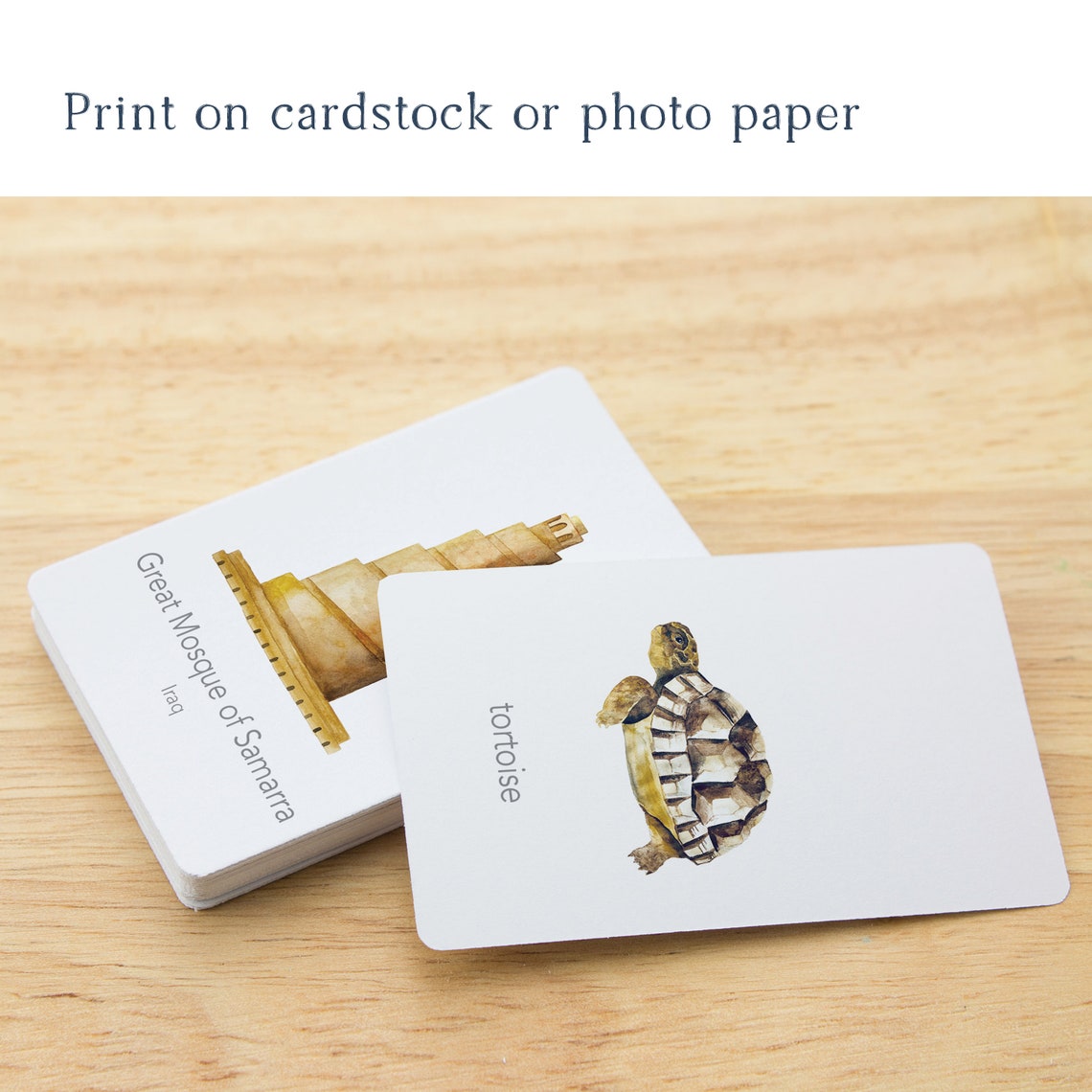 Educational World Map Activity Flash Cards Printable - Etsy