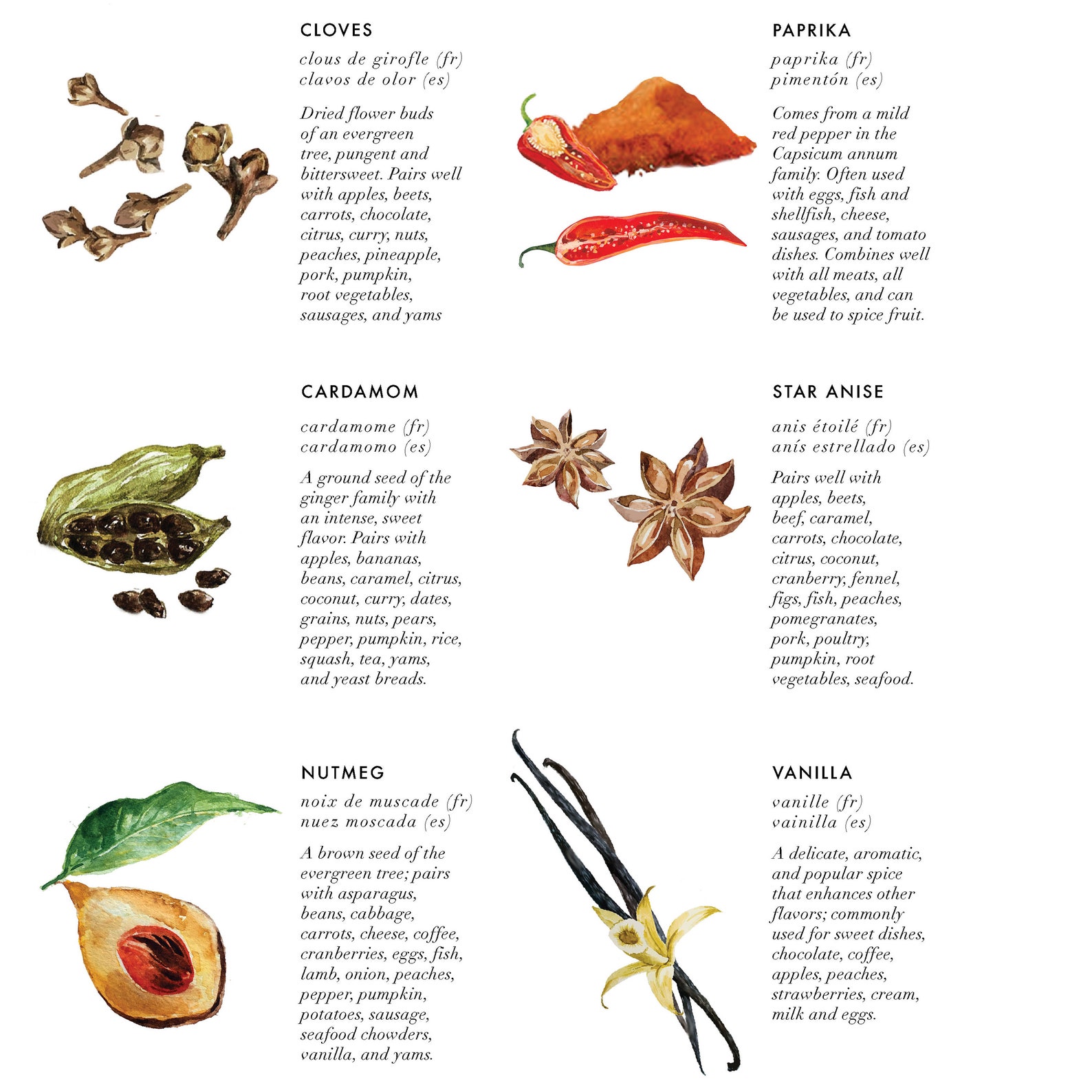 Culinary Spices Printable Kitchen Decor Wall Art Wall | Etsy