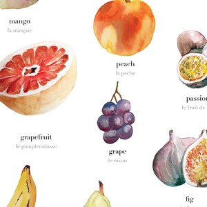 Fruits Art Print | Kitchen Wall Art, Wall Decor, Kitchen Decor, Home ...