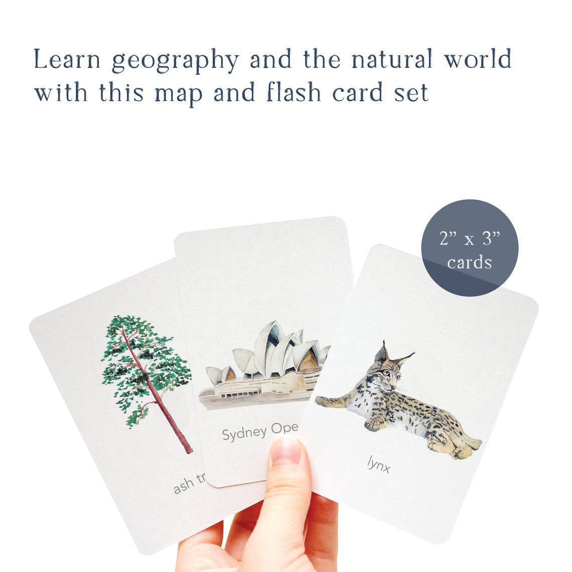 Educational World Map Activity Flash Cards Printable - Etsy