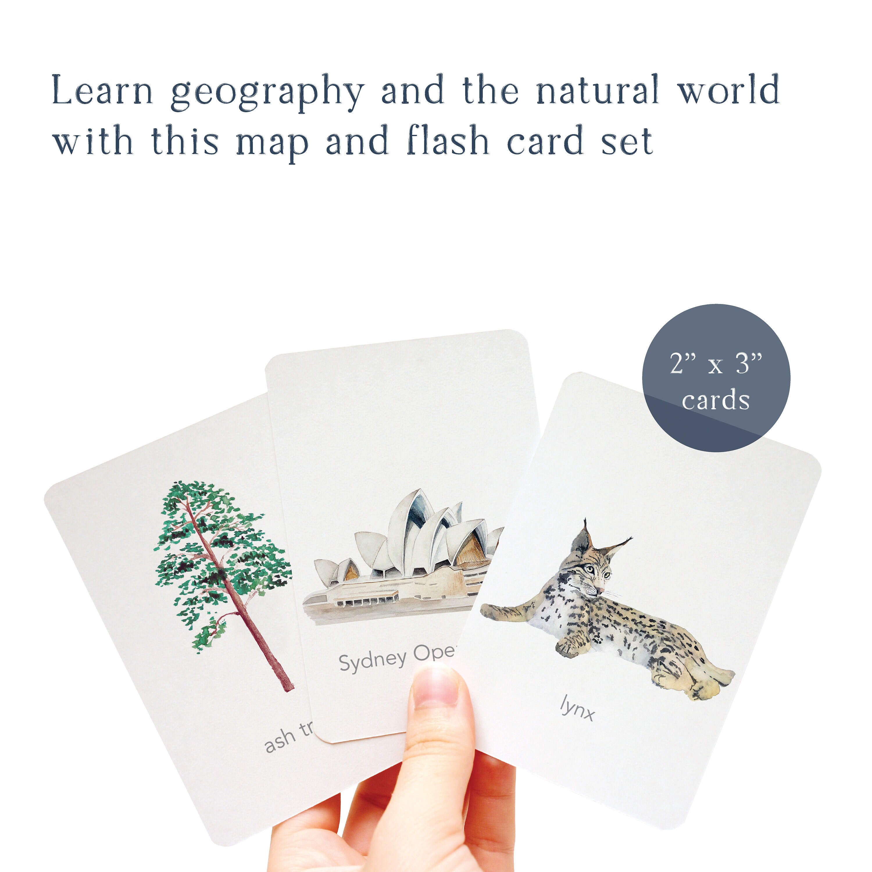 Educational World Map Activity Flash Cards Printable - Etsy
