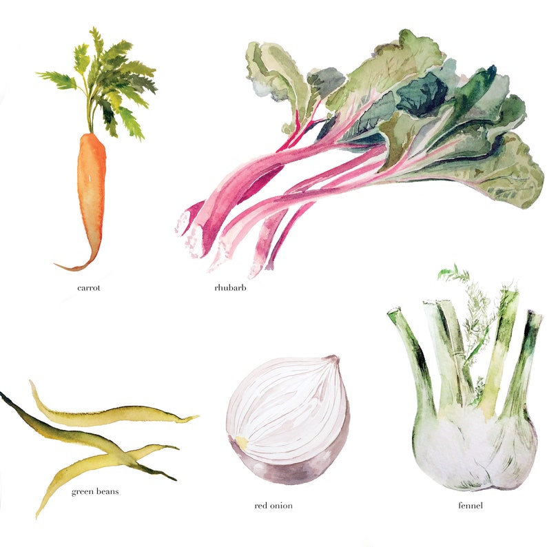 Fruits and Vegetables Watercolor Art Print Set: Kitchen Wall Decor - Etsy