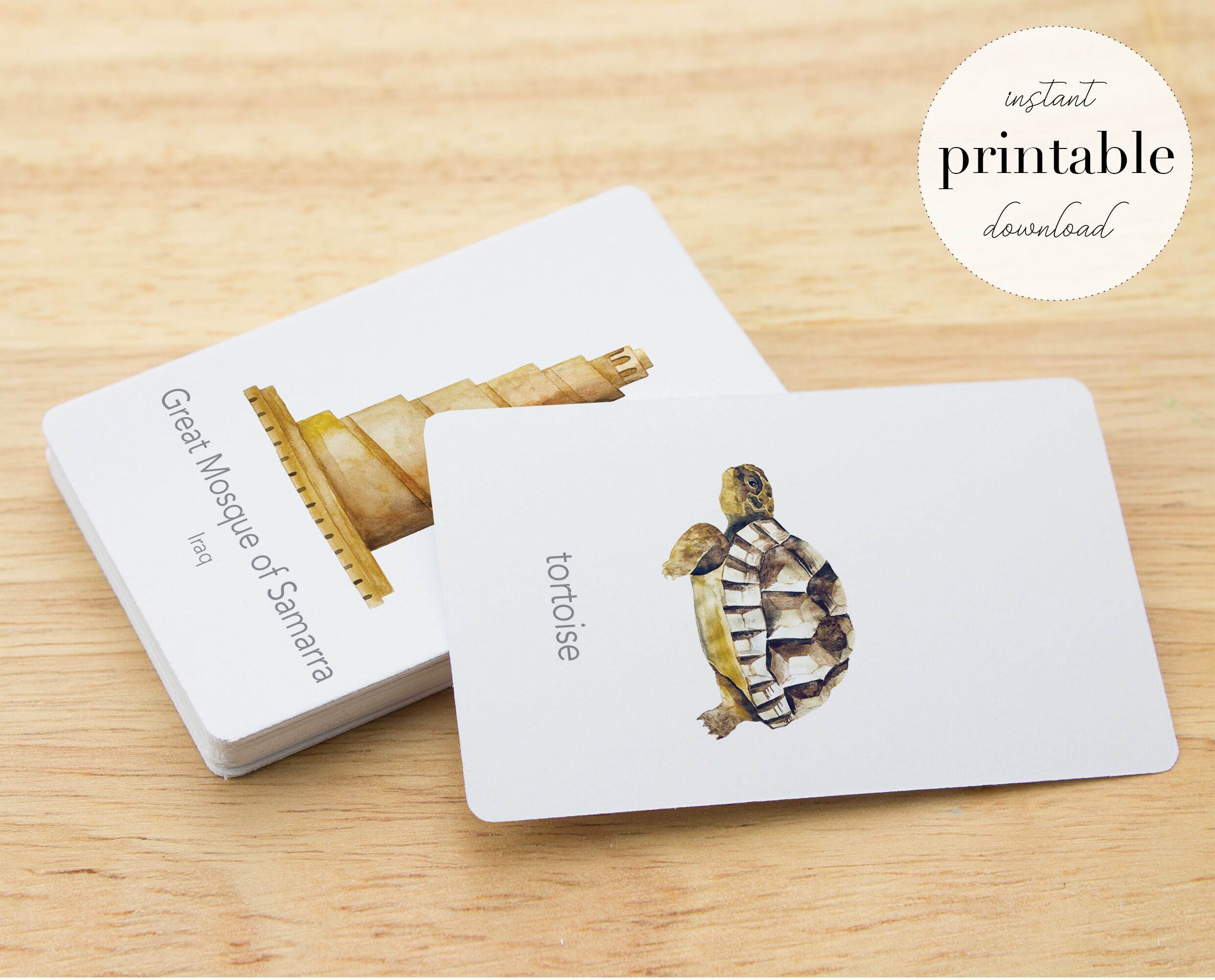 Educational World Map Activity Flash Cards Printable - Etsy