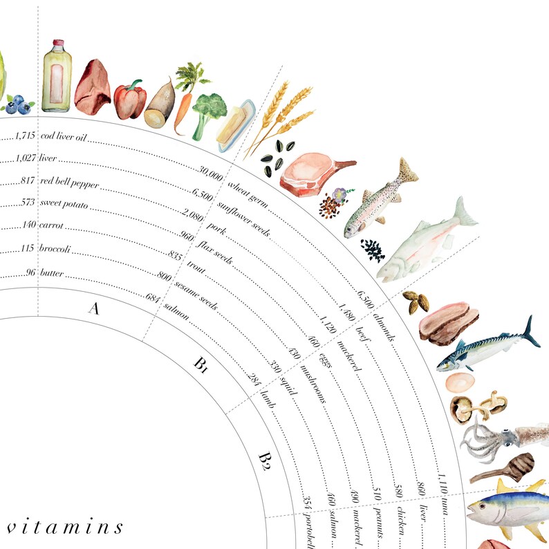 Vitamin Wheel Printable Kitchen Wall Art Home Decor Art | Etsy