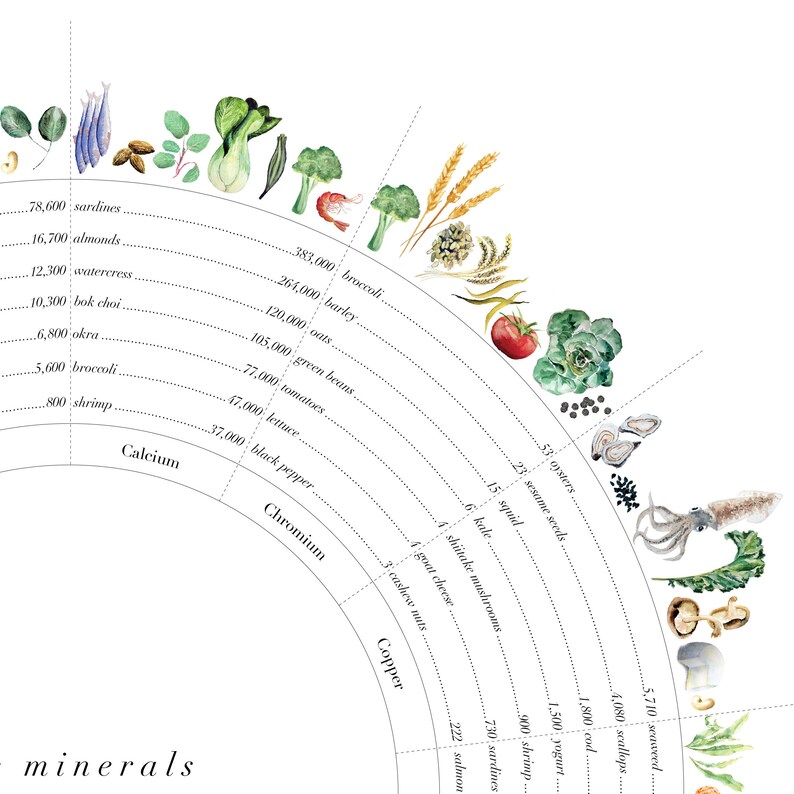 Mineral Wheel Printable Kitchen Wall Art Home Decor Art - Etsy