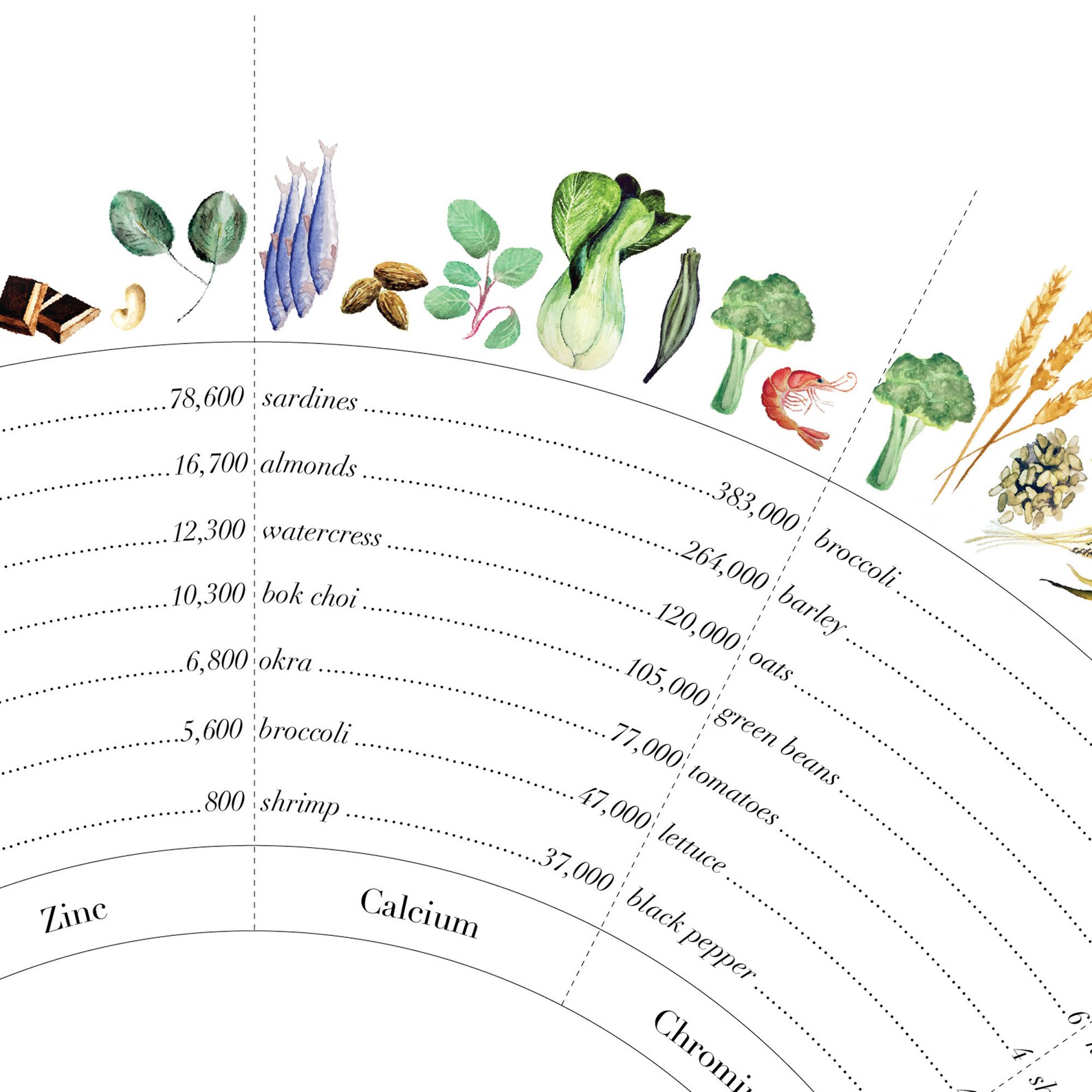 Mineral Wheel Printable Kitchen Wall Art Home Decor Art - Etsy