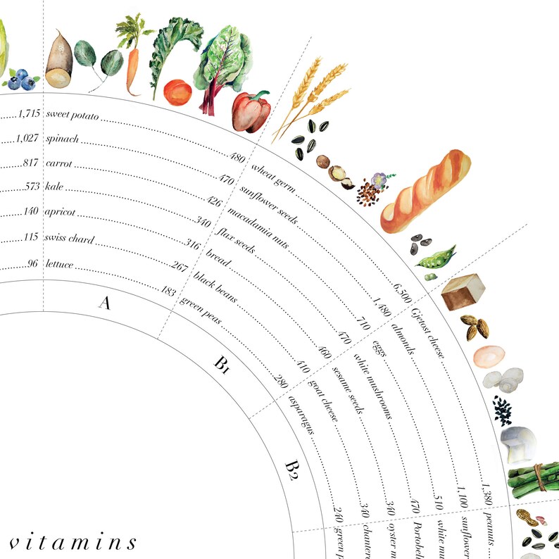 Vegetarian Vitamin Wheel Printable Kitchen Decor Wall Art - Etsy
