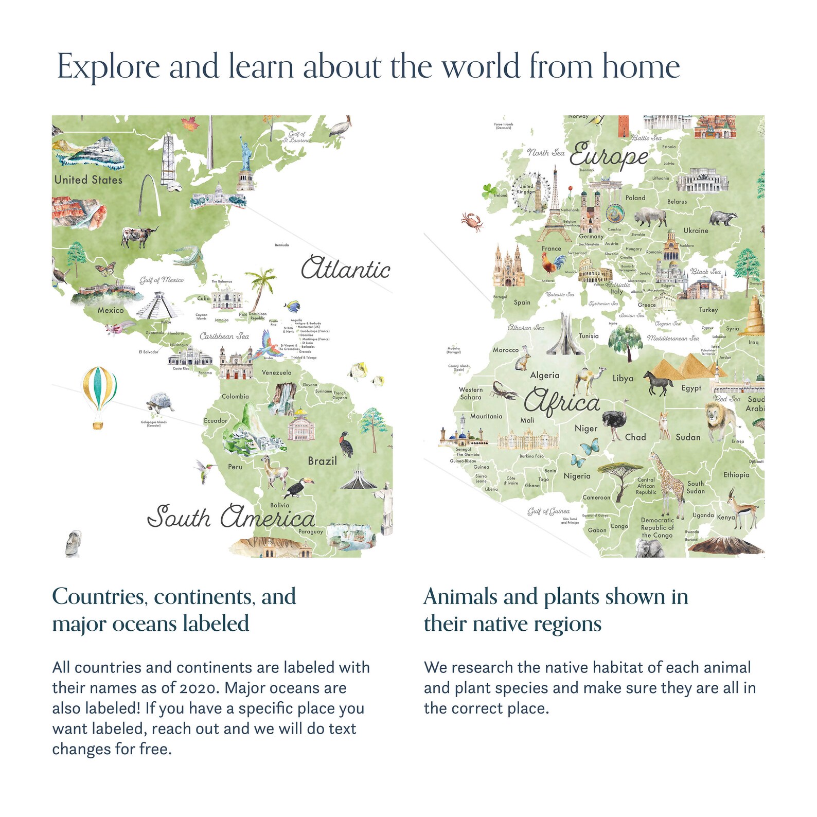 Green Educational World Map Printable Kids World Map - Etsy