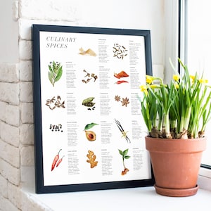 Culinary Spices Printable | Kitchen Decor, Wall Art, Wall Decor ...