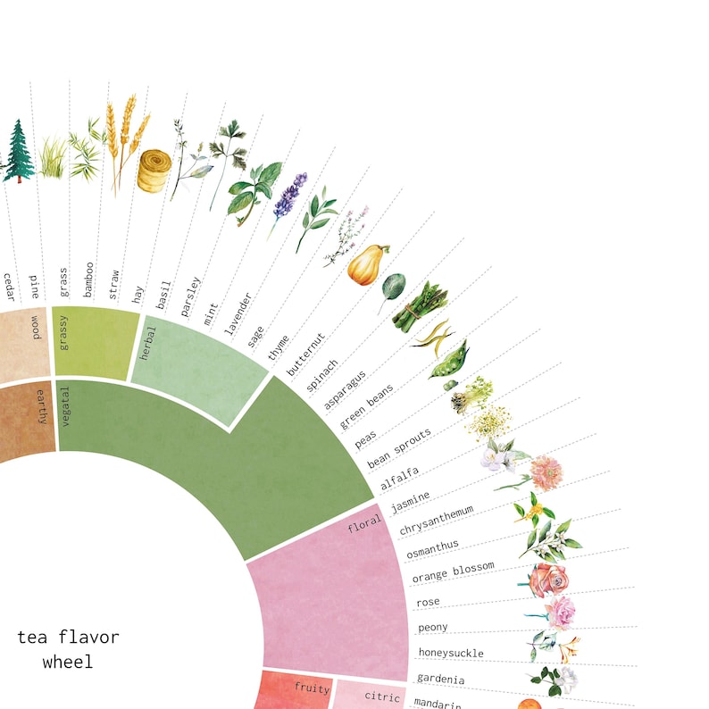 Tea Flavor Wheel Art Print: Kitchen Wall Decor - Etsy