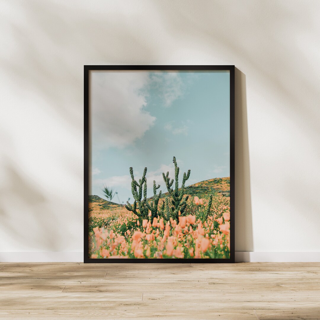 Jolene - Wild Poppies Full Bloom Near Lake Elsinore, California: Floral ...