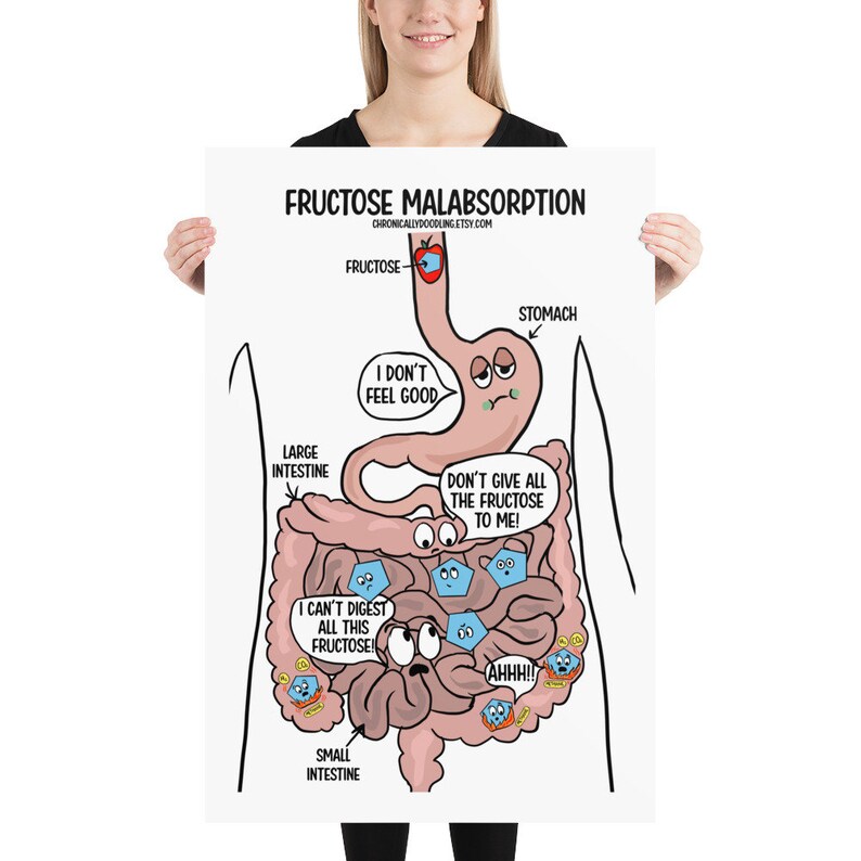 Fructose Malabsorption Funny Cartoon Diagram Poster - Etsy