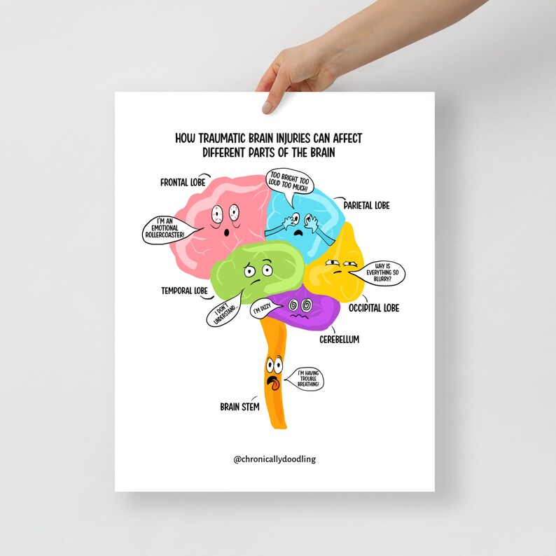 How Traumatic Brain Injury Affects Different Parts of Brain Poster - Etsy