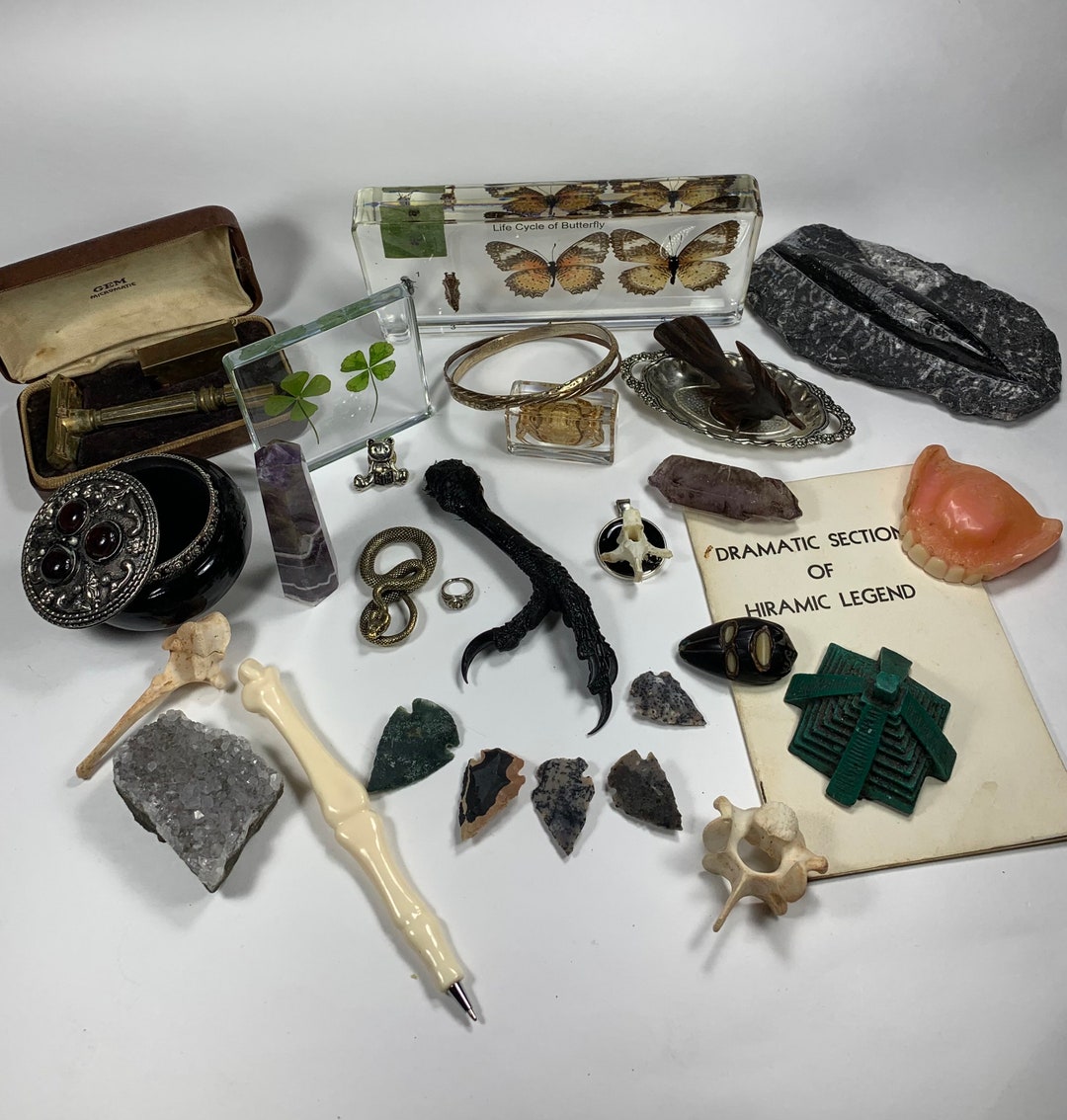 Oddities and Curiosities Collection: 30 Unique Trinkets & Treasures - Etsy