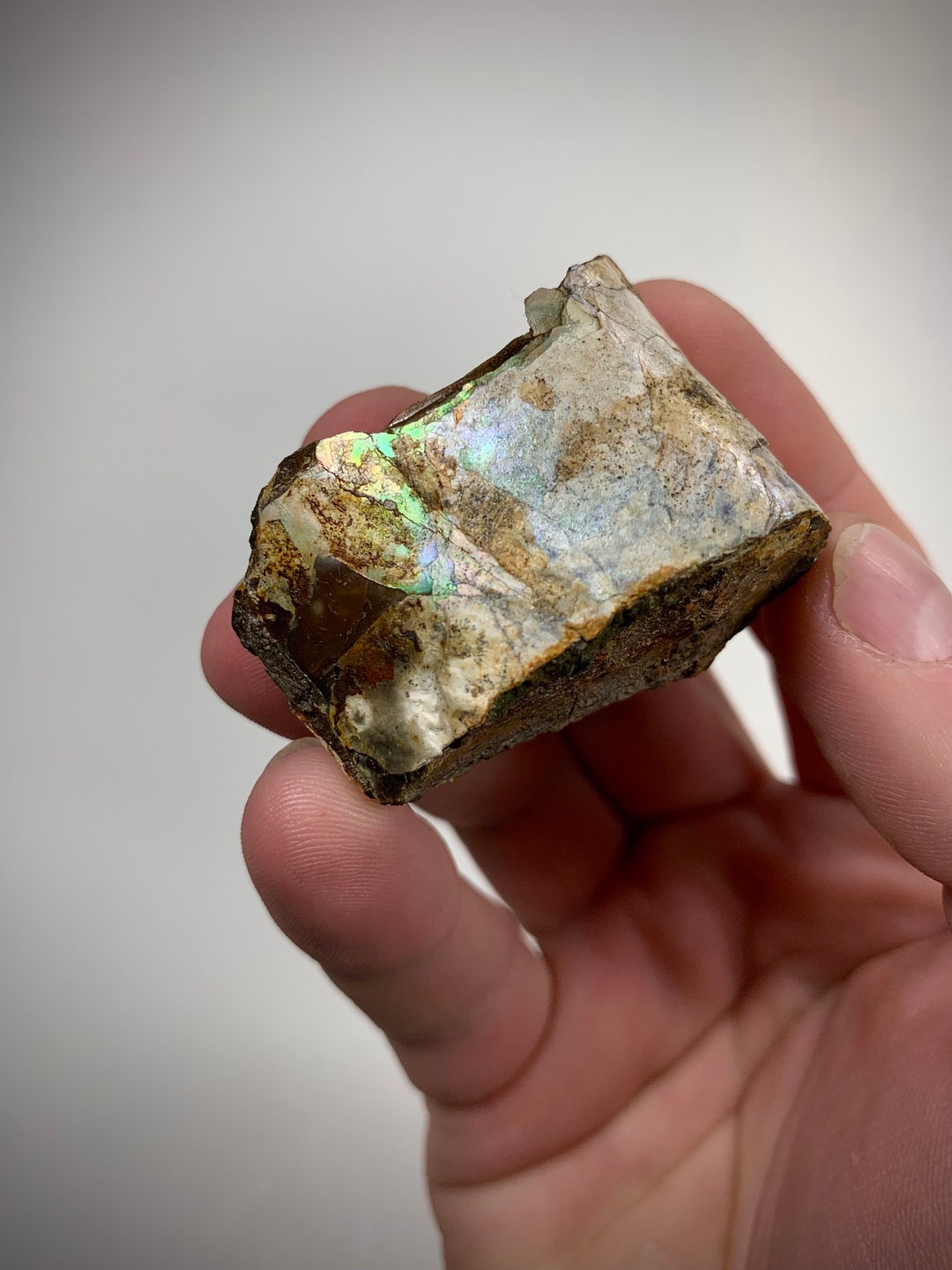 Nice! Iridescent Baculite Ammonite Fossil. South Dakota. USA 1.7” 53g ...