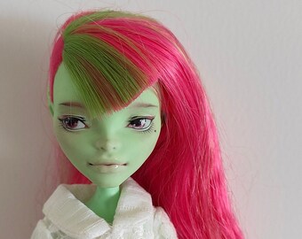 OOAK Monster High Doll Repaint Art Custom Doll, Repaint Doll - Etsy