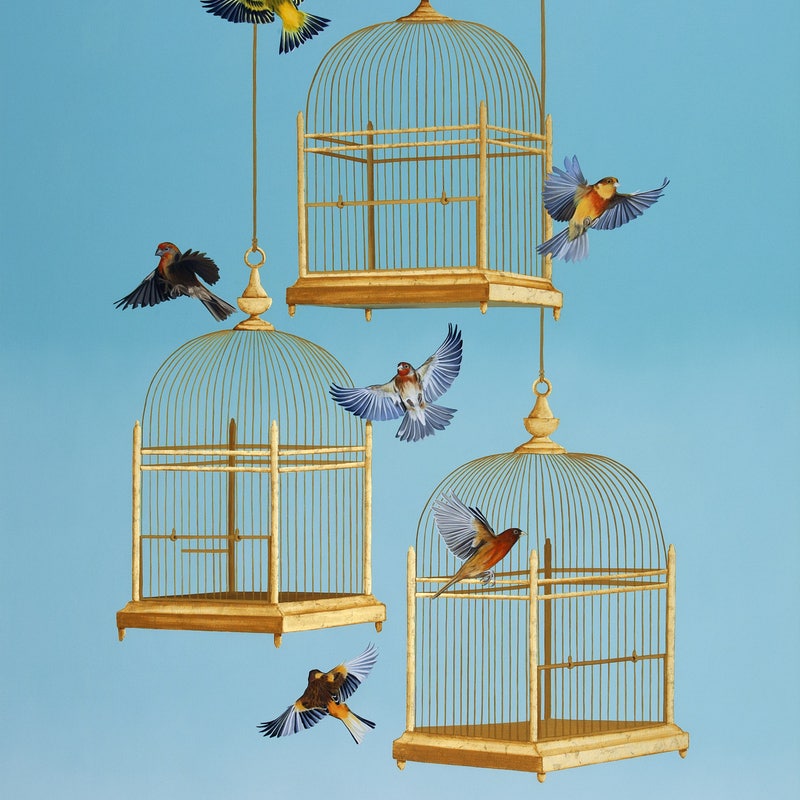 Bird Cage Print - Etsy