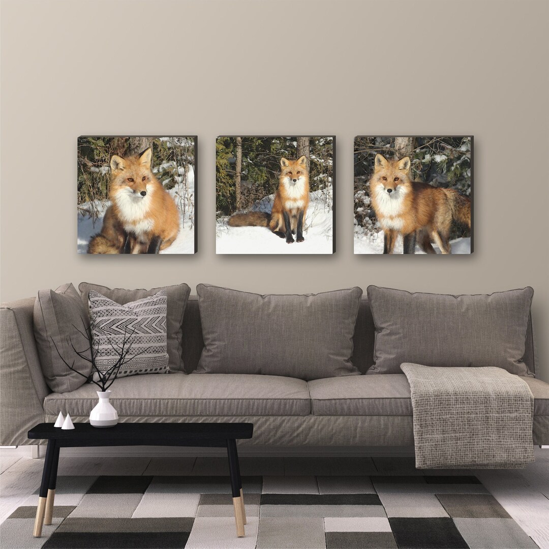 Set of 3 Fox Art Canvas Prints From Original Artwork, Ready to Hang ...