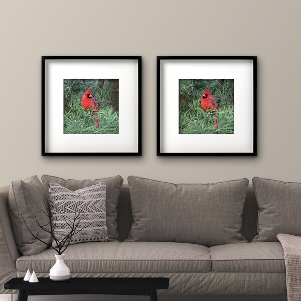 Cardinal Art Prints - Etsy