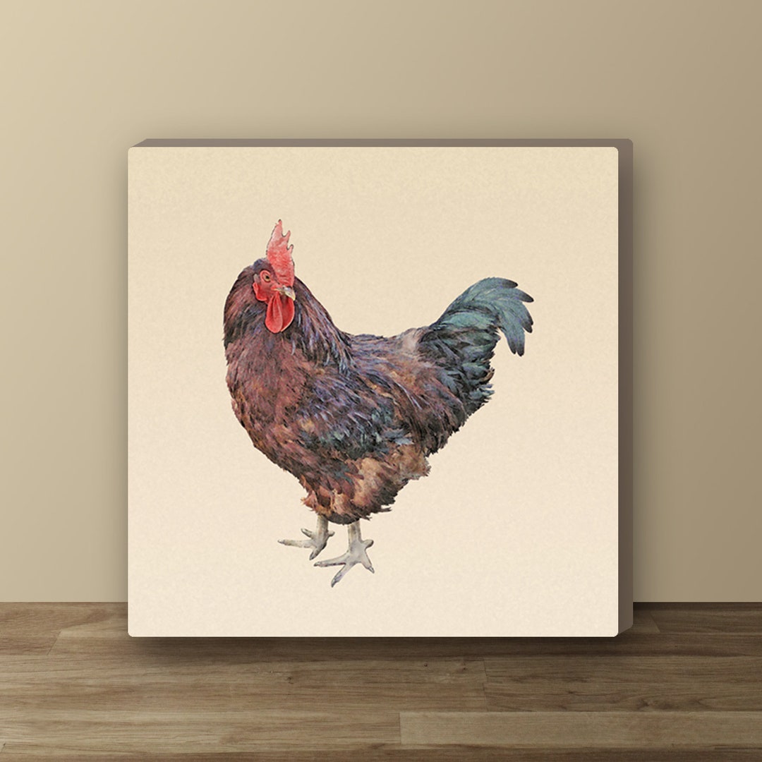 Impression sur toile de coq rouge du Rhode Island à partir d'oeuvres d ...
