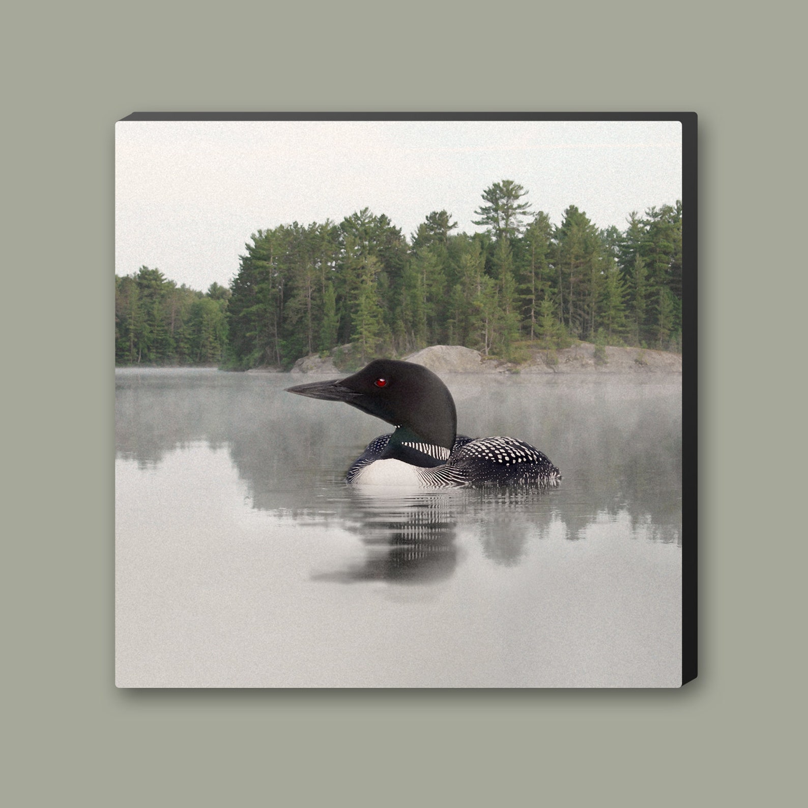 Set of 2 Loon Canvas Prints From Original Artwork, Ready to Hang ...