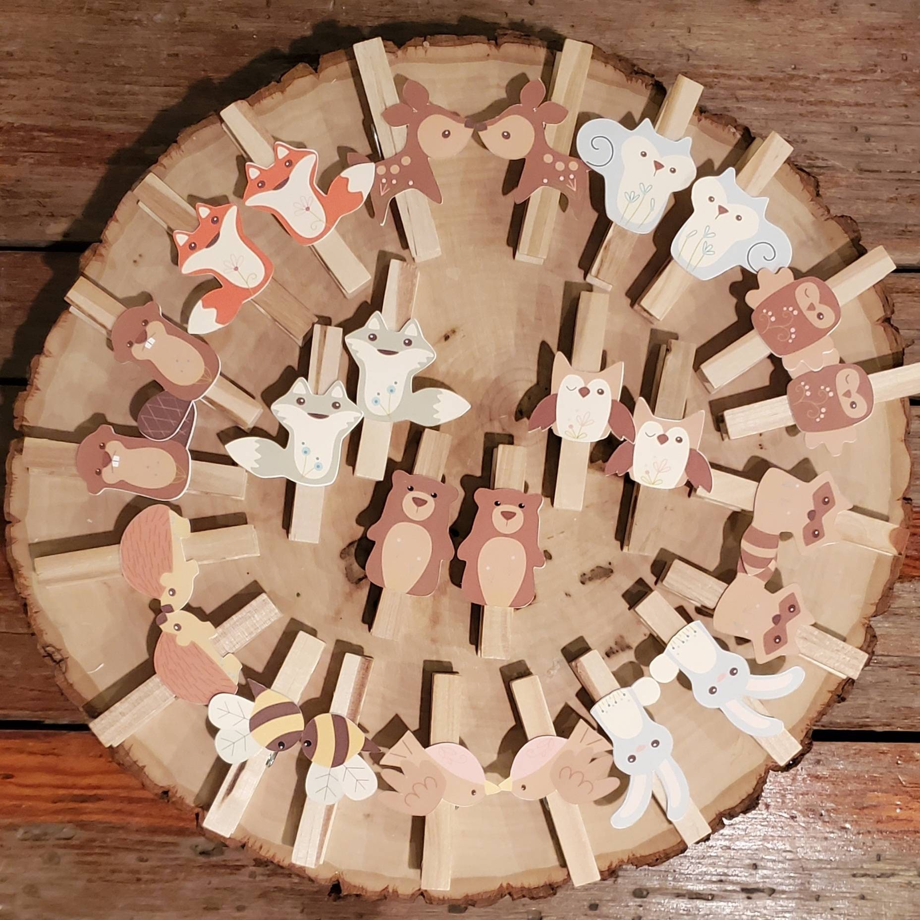 Sweet Rustic Woodland Animal Clothespins - Etsy