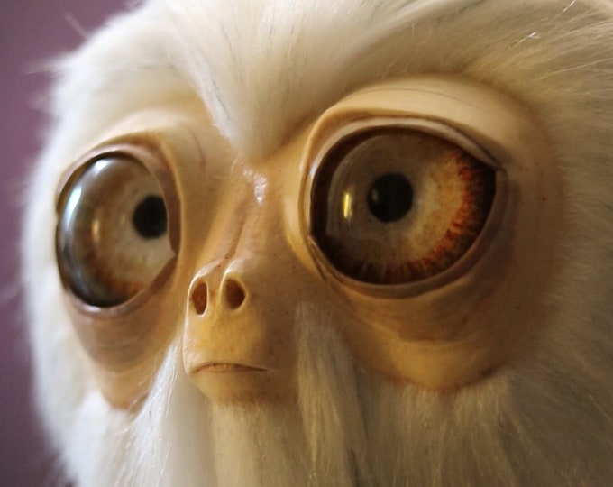 Fantastic Silvery White Pygmy Monkey Fully Poseable Art Doll With Glow ...