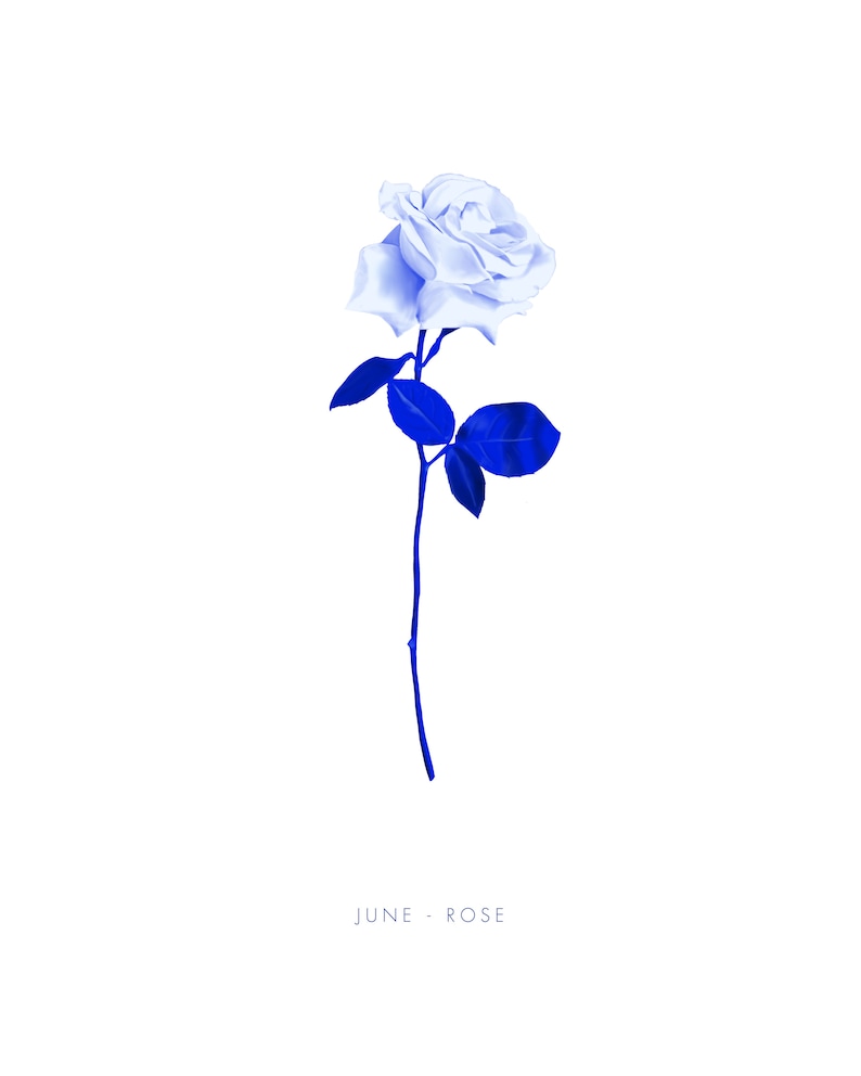 June Birth Month Flower - Rose Digital Print - Etsy