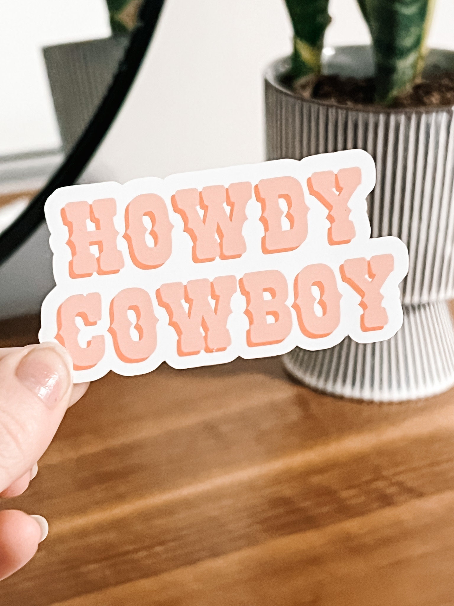 Cowgirl Sticker Pack - Etsy