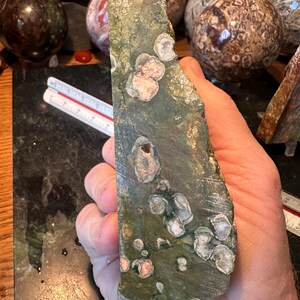 Rainforest Jasper Large End Cut - Etsy