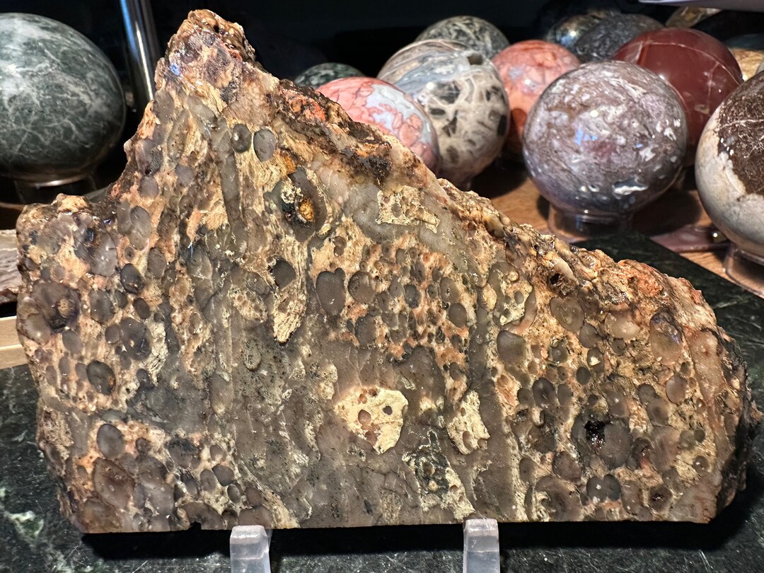 Old School Palm Root Agate Slab - Edison, CA - Etsy