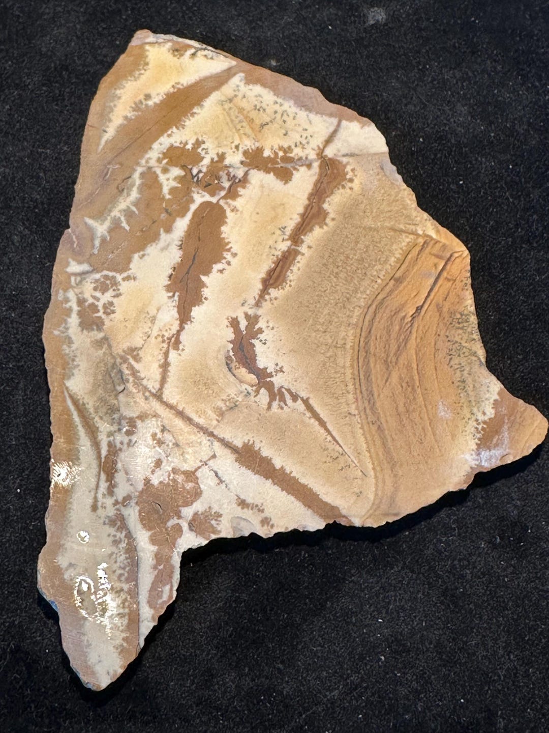 Owyhee Picture Jasper Slab - Etsy