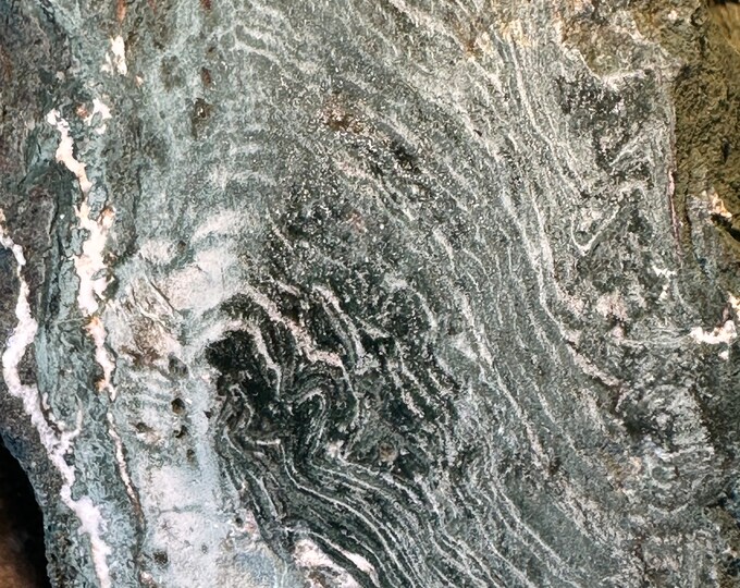 Hampton Butte Dome Polished Specimen With Bark - Etsy