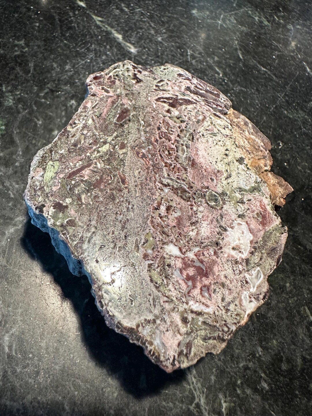 Hampton Butte Polished Specimen With Bark - Etsy