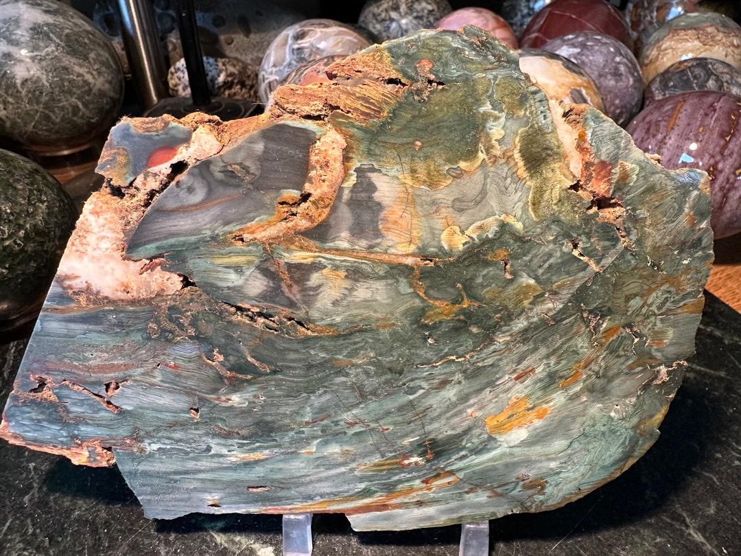 Polished Gary Green Collector's Slab - Etsy