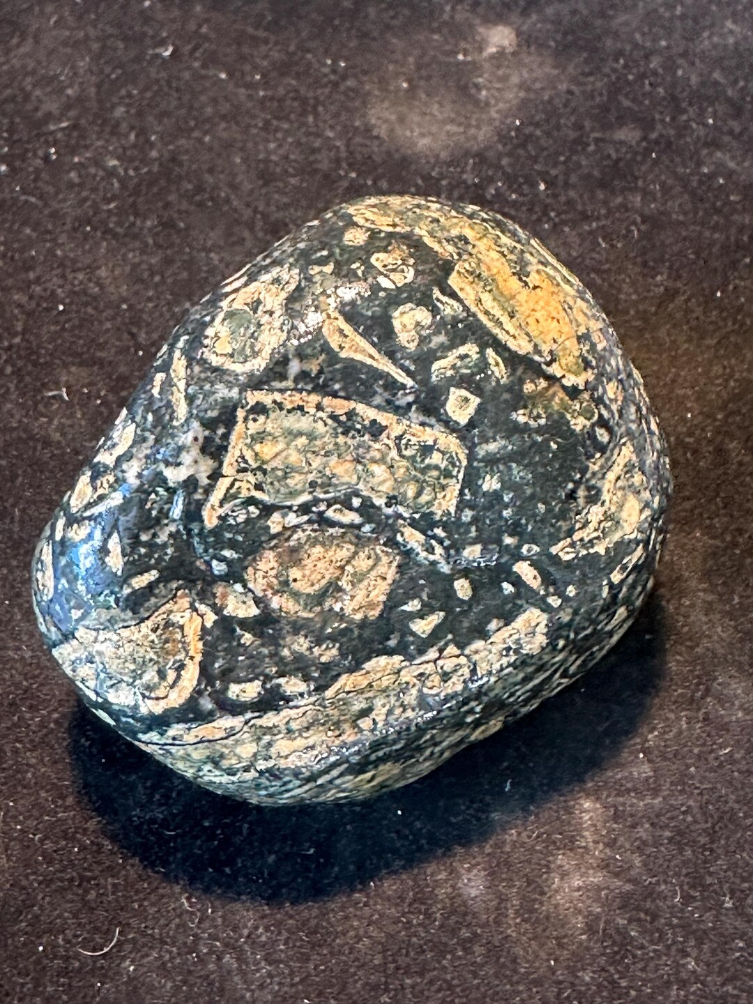 Dallasite Cobble Specimen - Etsy