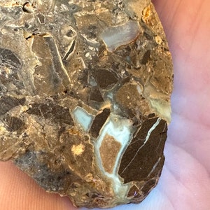 Black Deedeeite brecciated Rhyolite Slab - Etsy