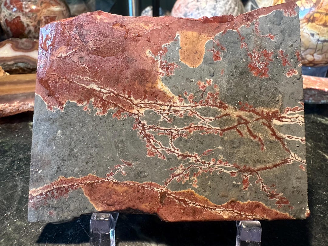 Sonoran Dendritic Jasper Slab - Etsy