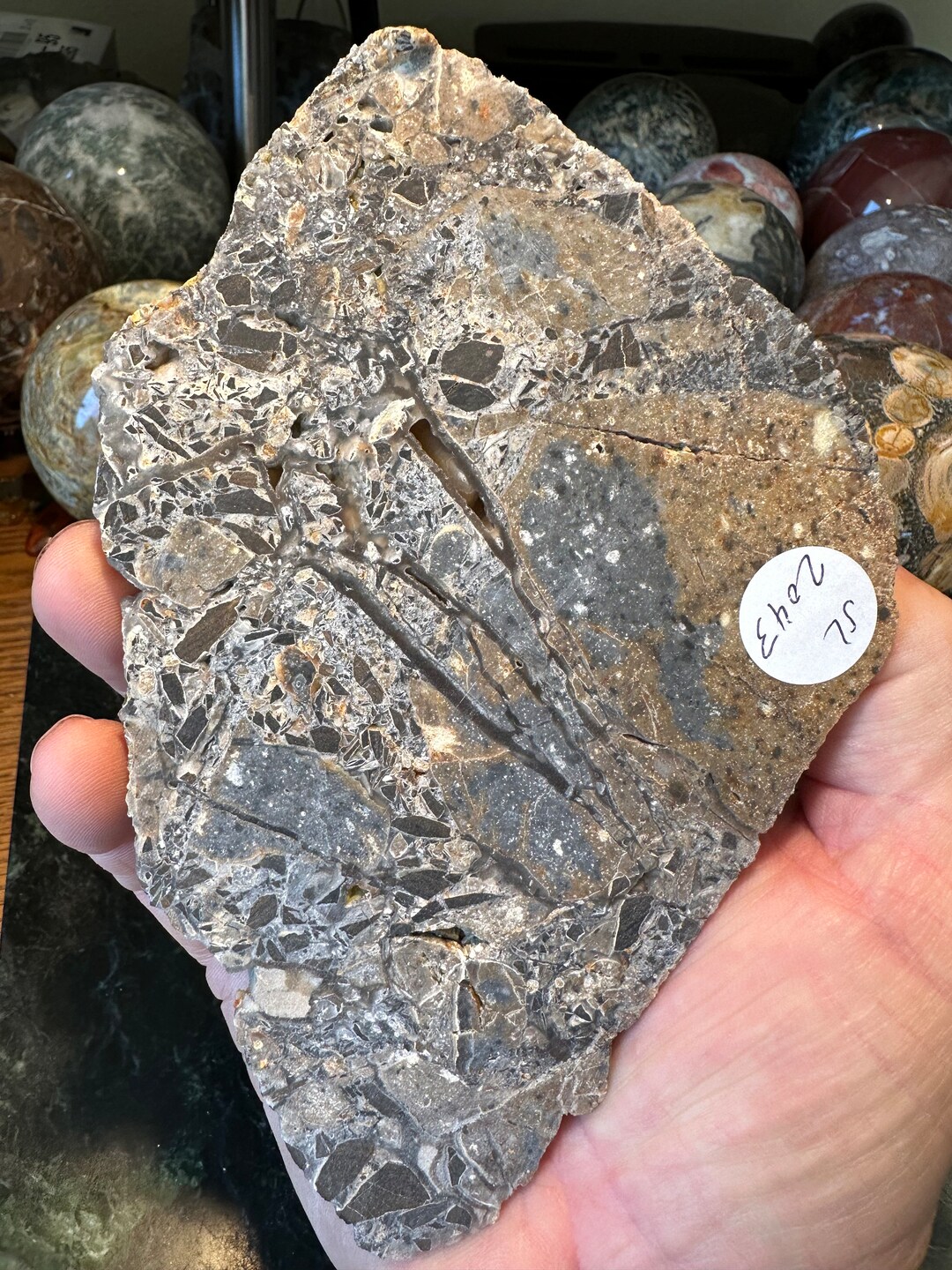 Black Deedeeite (brecciated Rhyolite) Slab - Etsy