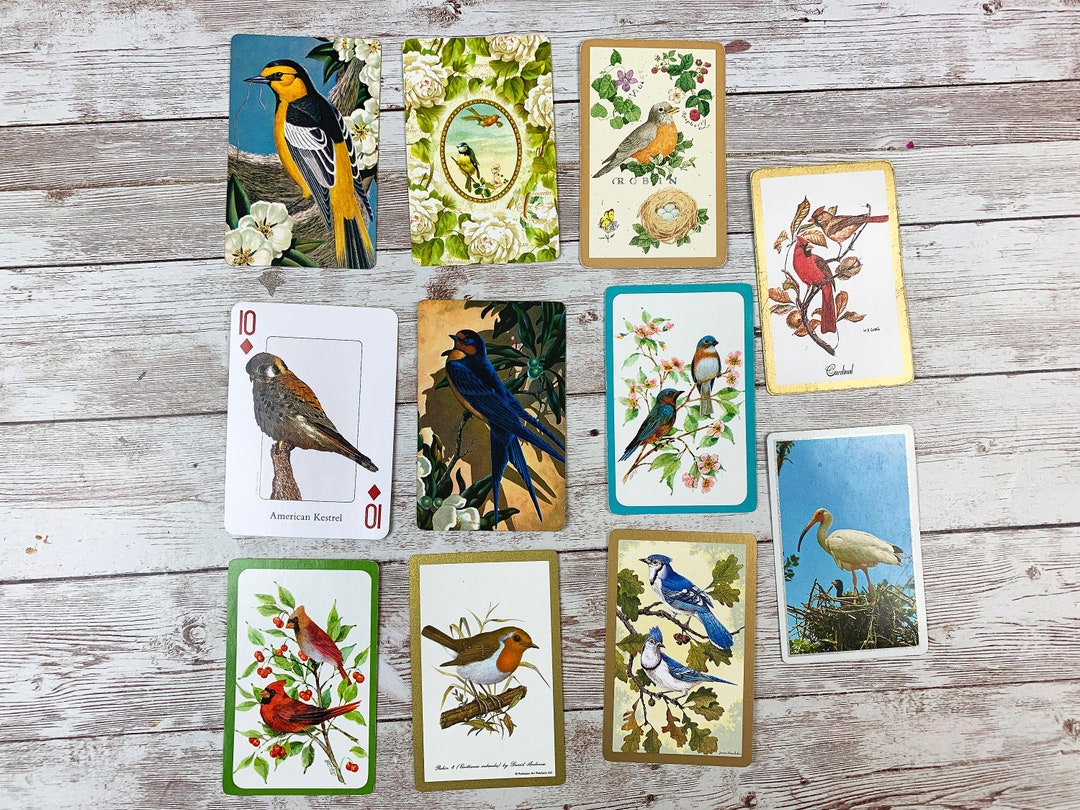 11 Vintage and Newer Playing Cards - BIRD Themed Set - Ephemera - Etsy