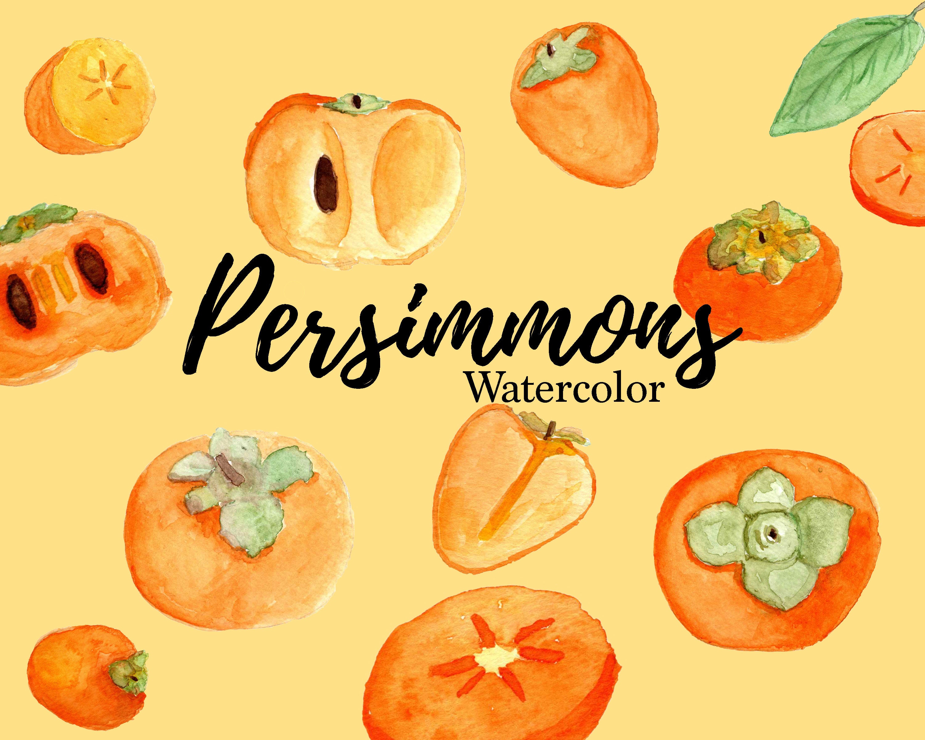 Watercolor Persimmon | Persimmon Clipart | Hand Drawn Clipart - Etsy