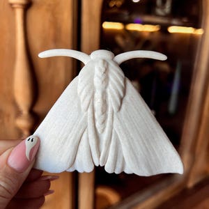 Moth Wall Art- #4 - Etsy