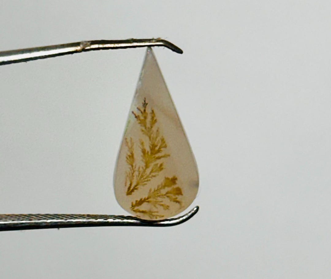 Shazar Agate Natural Dendritic Quartz Loose Gemstone Scenic Dendritic ...