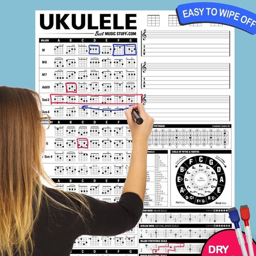The Ultimate Ukulele Reference Poster // Gift for Him // Gift - Etsy