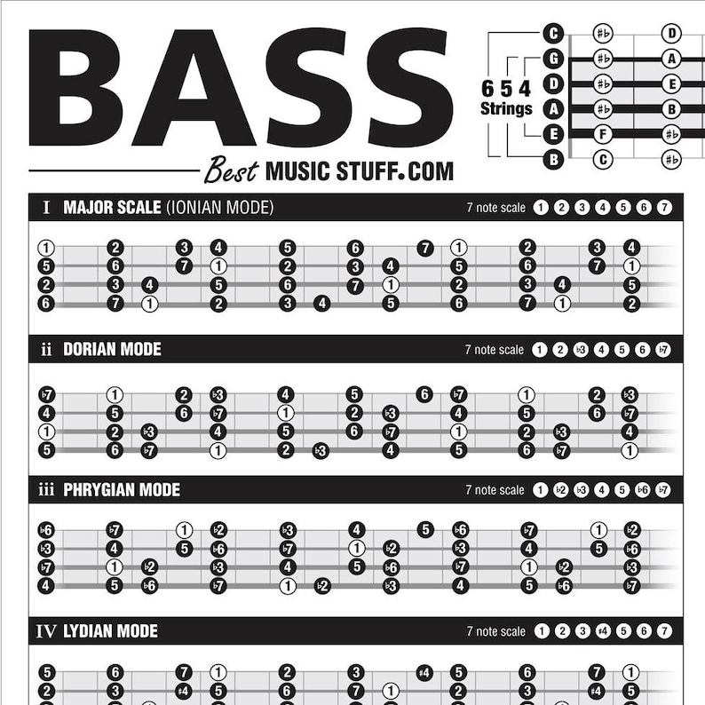 Creative Bass Poster Interactive Theory Chart Creative - Etsy Canada