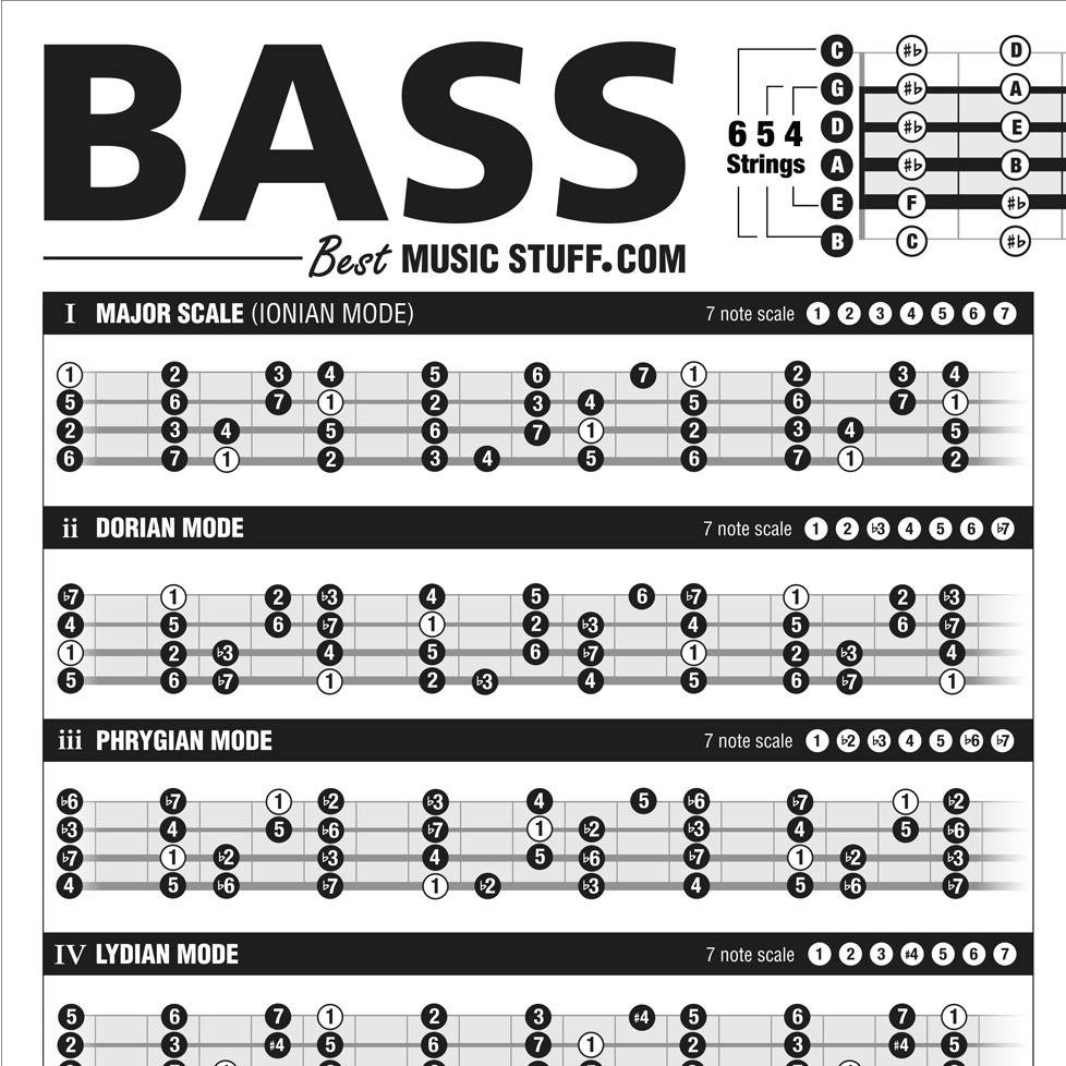 Creative Bass Poster Interactive Theory Chart Creative Bass Reference ...