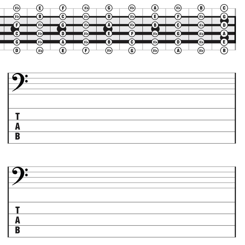 Creative Bass Poster Interactive Theory Chart Creative | Etsy